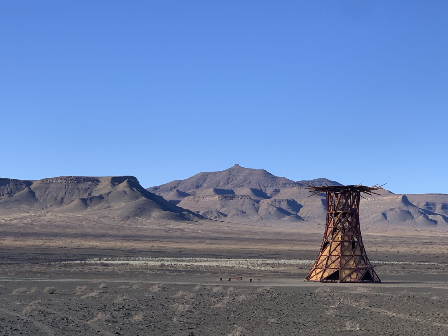 The story continues and the Tree grows - AfrikaBurn | Invent the World Anew