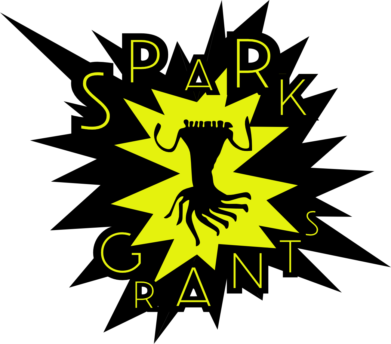 Spark Grant Application Page - AfrikaBurn | Invent the World Anew